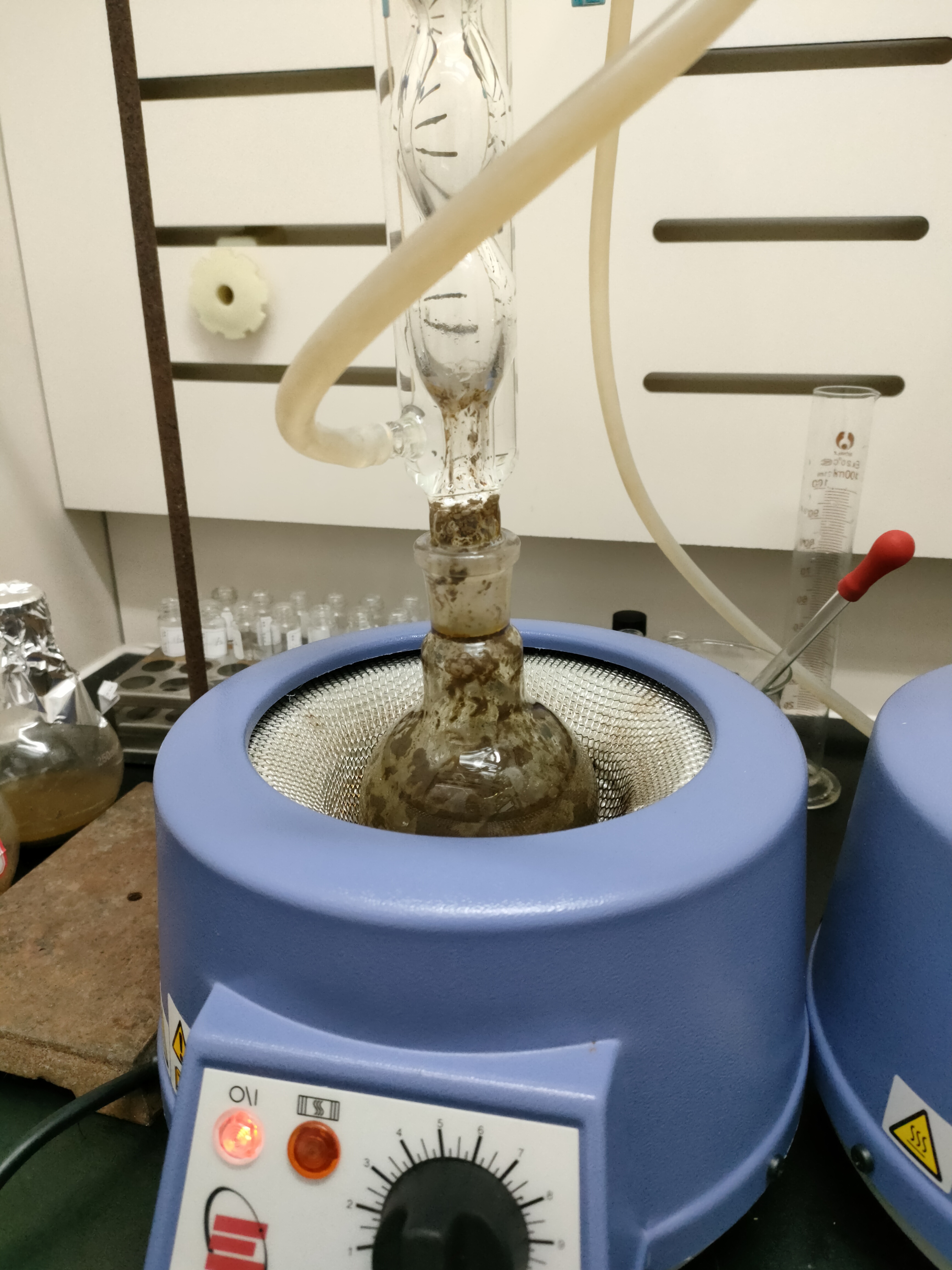 Lab work – Tingting Zeng